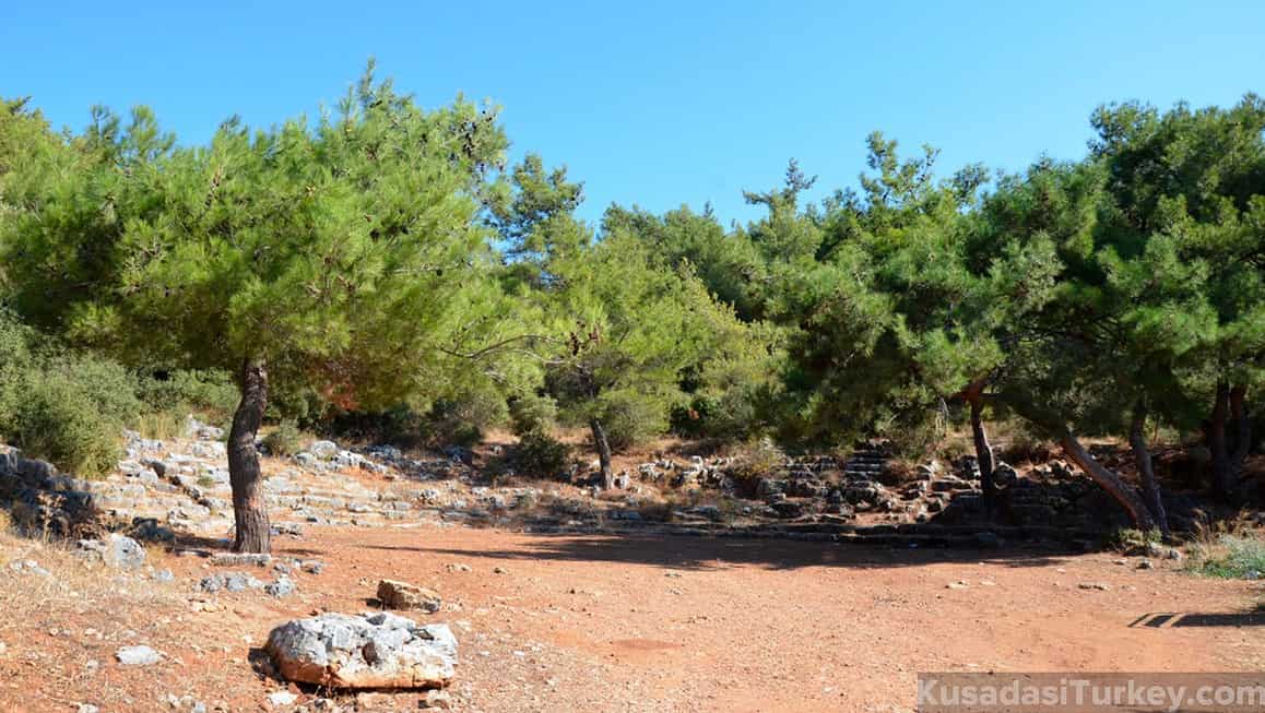 Panionion: Exploring the Ancient Gathering Place in Kusadasi