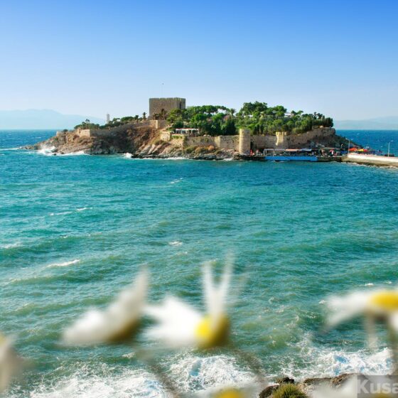 Panionion: Exploring the Ancient Gathering Place in Kusadasi