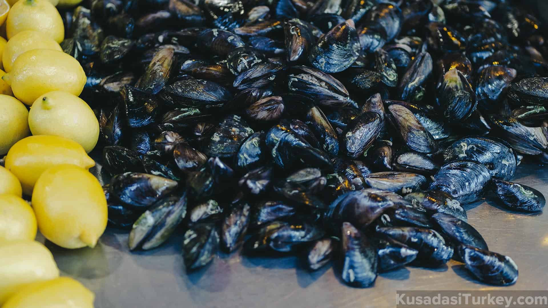 Exploring the Delights of Street Food in Kusadasi