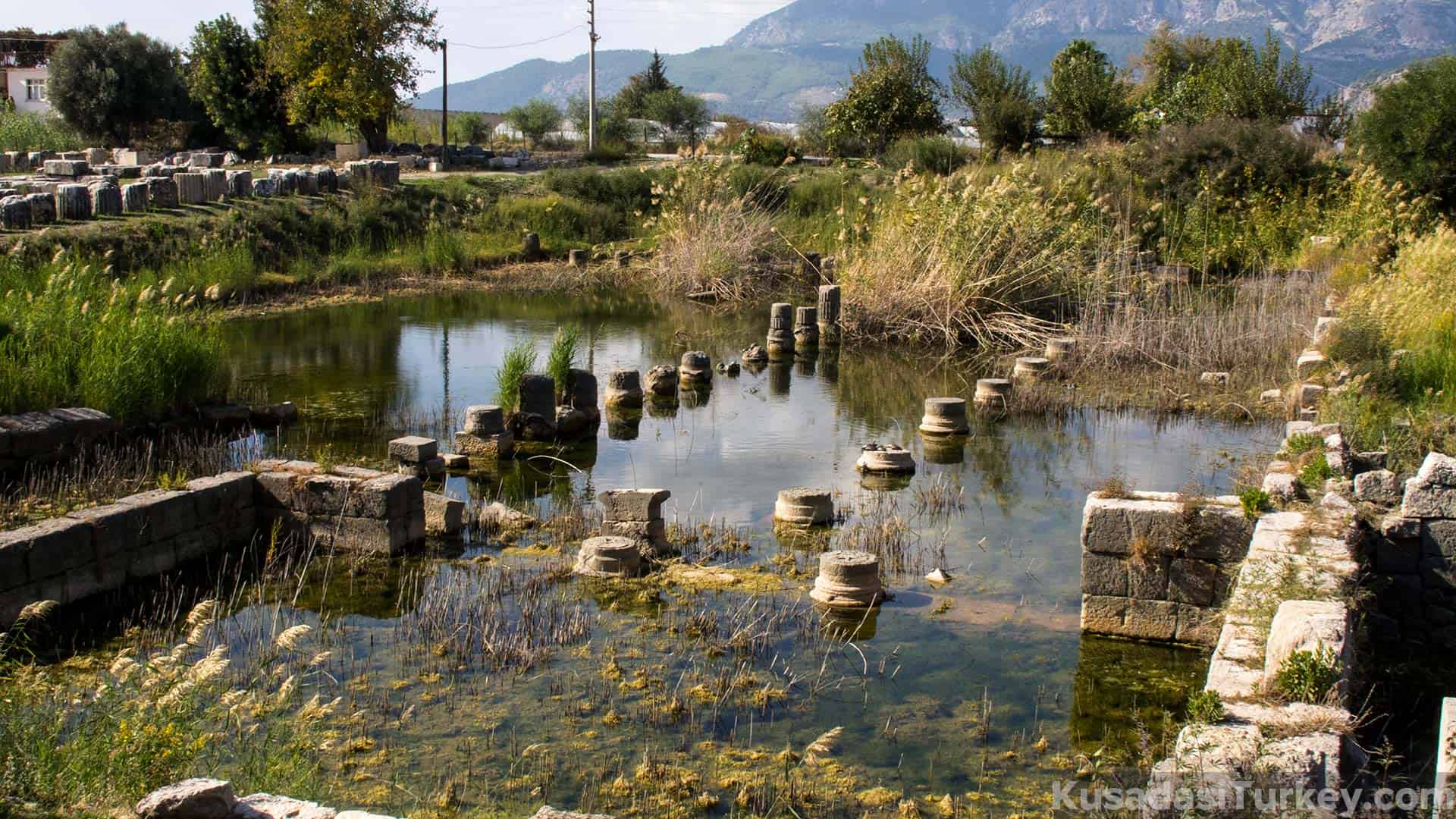 Leto: The Goddess Behind Ephesus’s Mythical Legacy